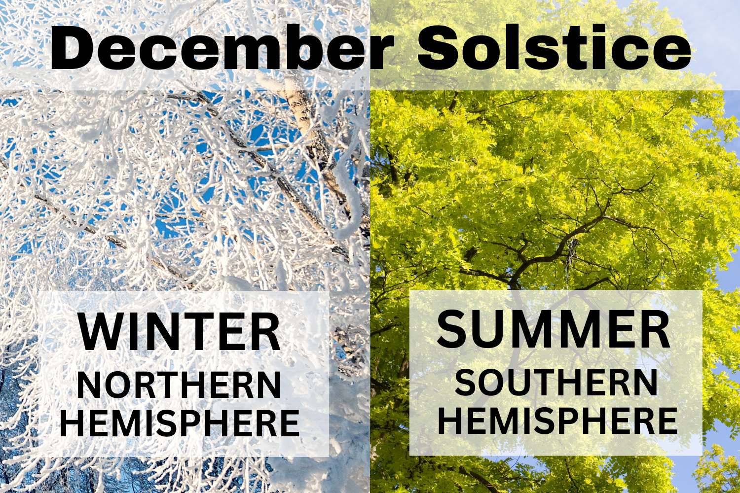 December Solstice | Holiday Smart