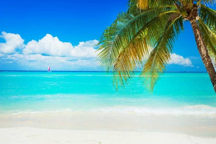 World Beach Day | Holiday Smart