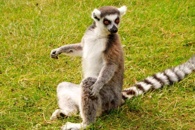 Lemar Day | Holiday Smart