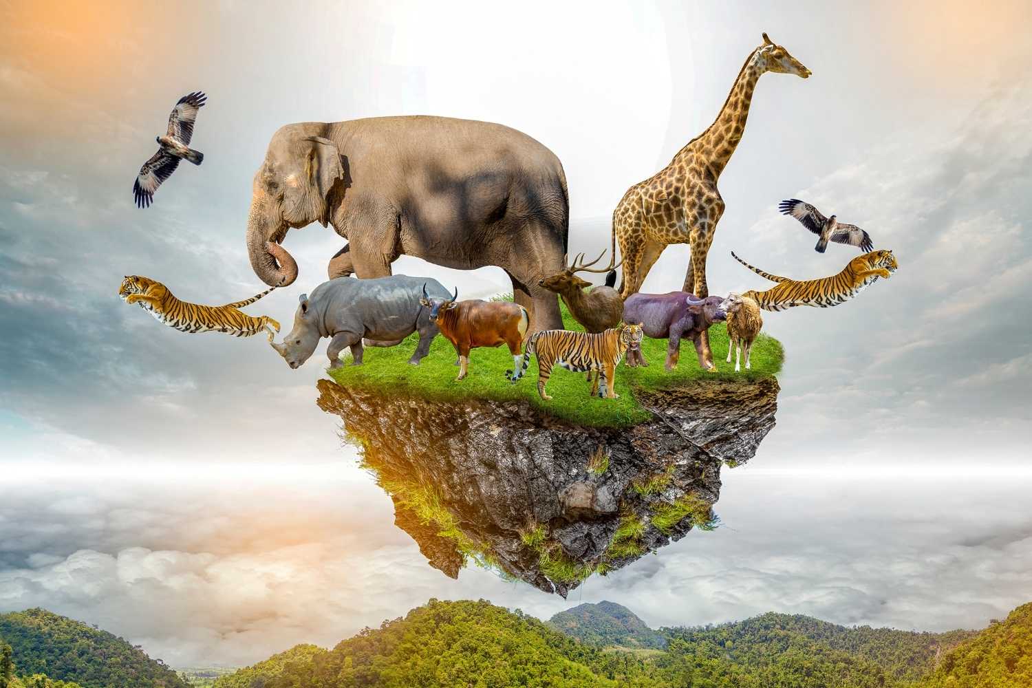 Wildlife Conservation Day (World) | Holiday Smart