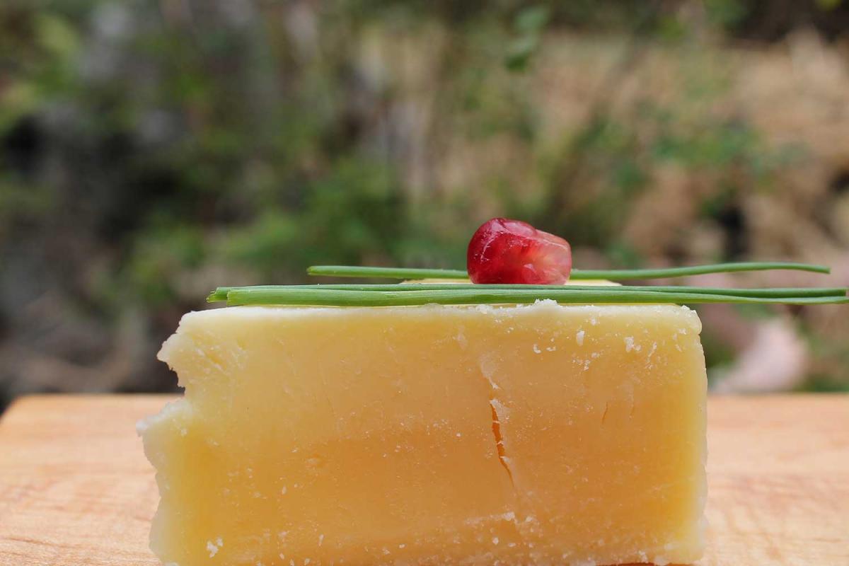 Cheddar Day | Holiday Smart