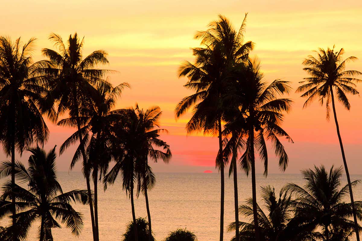 International Day of the Tropics | Holiday Smart