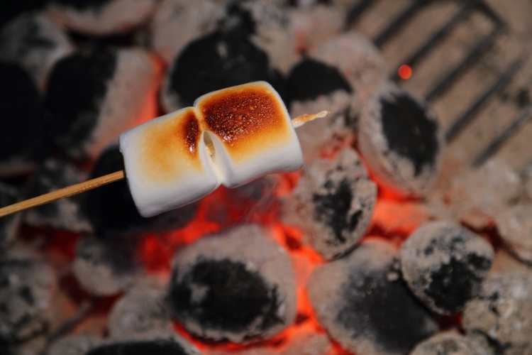Toasted Marshmallow Day | Holiday Smart
