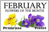 Flowers of the Month | Holiday Smart
