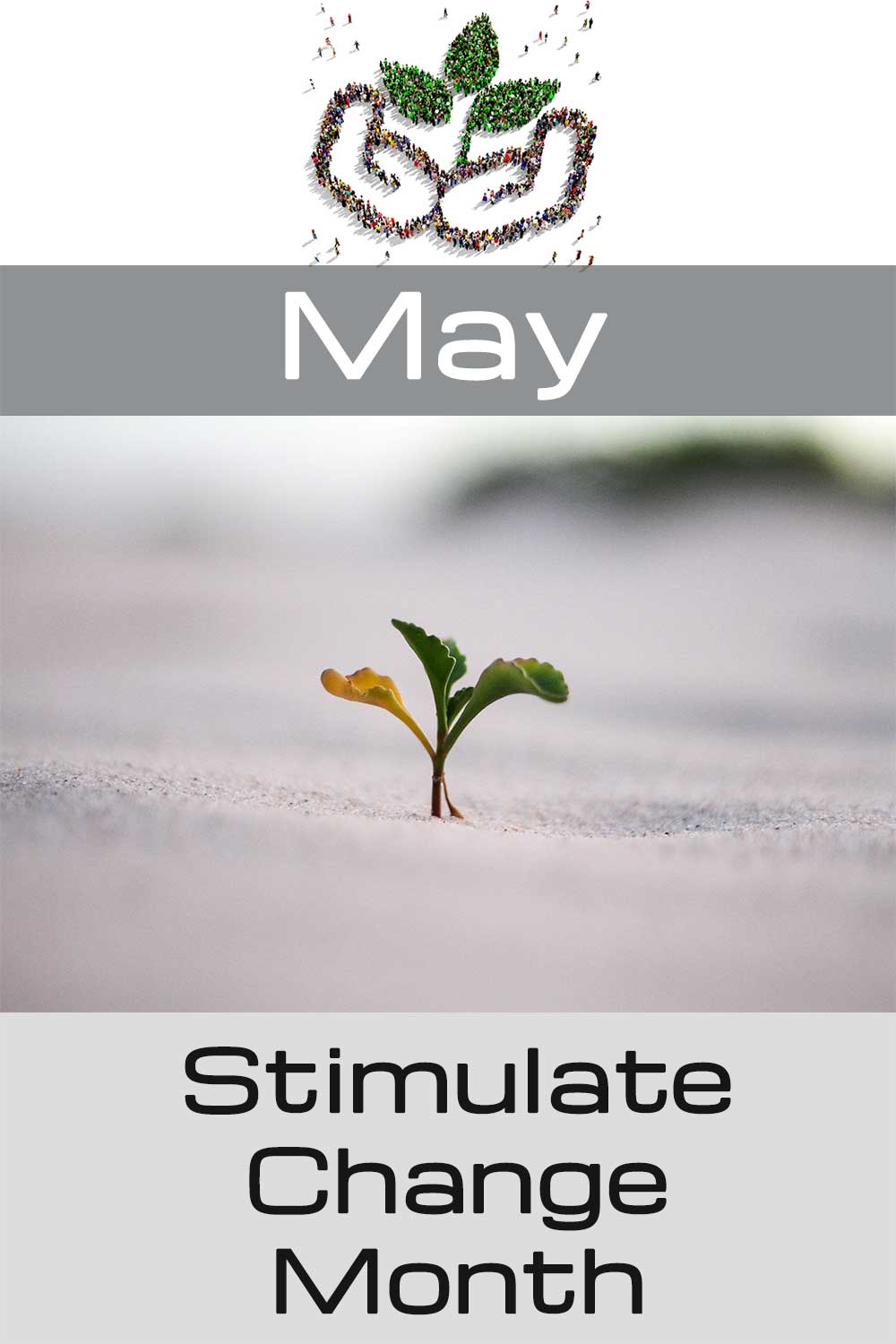 Stimulate Change Month | Holiday Smart
