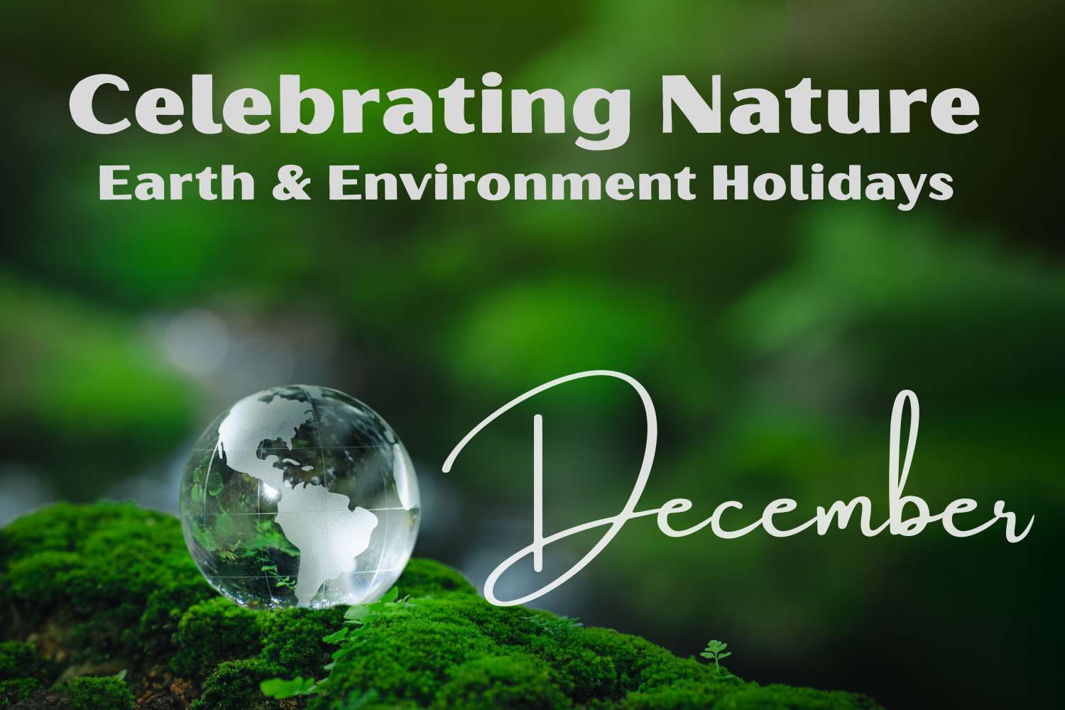 Celebrating Nature: December Earth & Environment Holidays | Holiday Smart