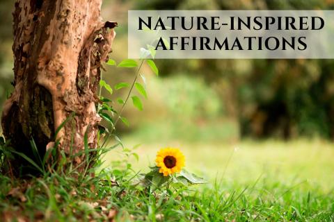 Nature-Inspired Affirmations to Connect with the Earth and Embrace the ...