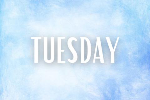 Tuesday: Embracing the Warrior Spirit and Modern Trends | Holiday Smart